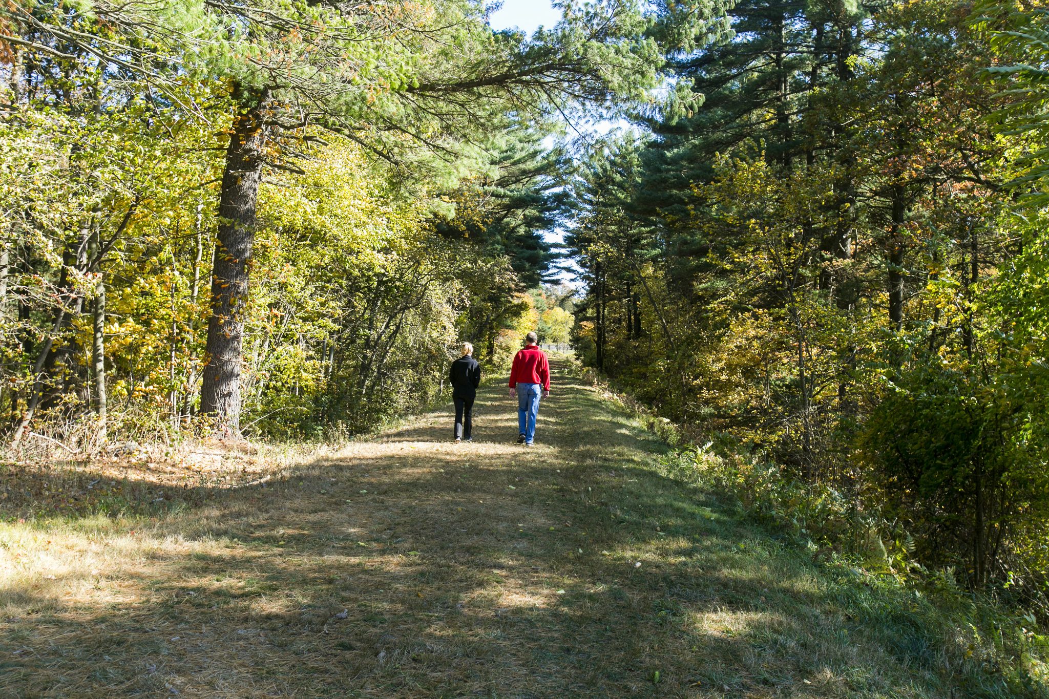 Accelerating Climate Resilience Grant Program – MAPC