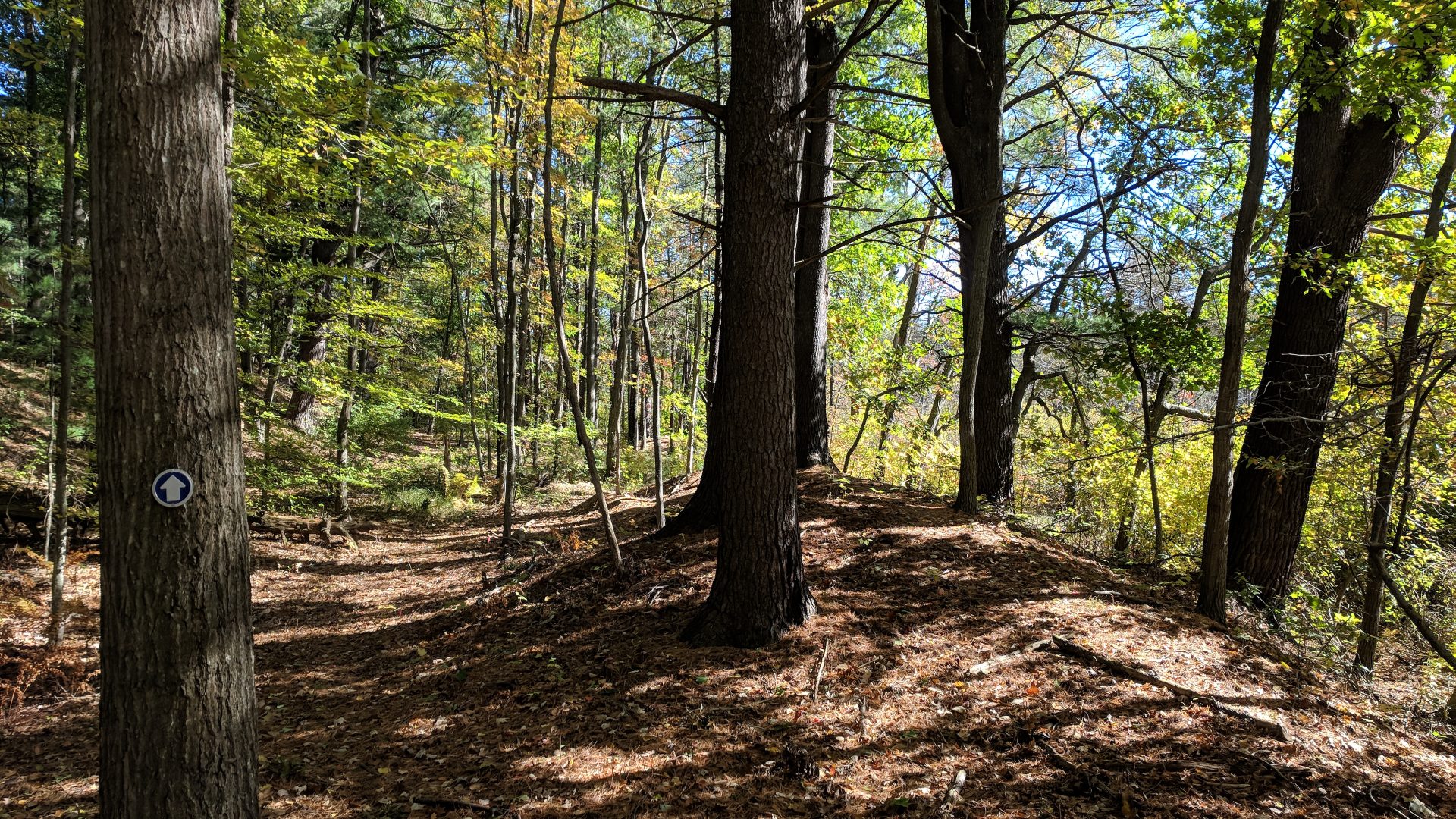 Cochituate Aqueduct – MAPC