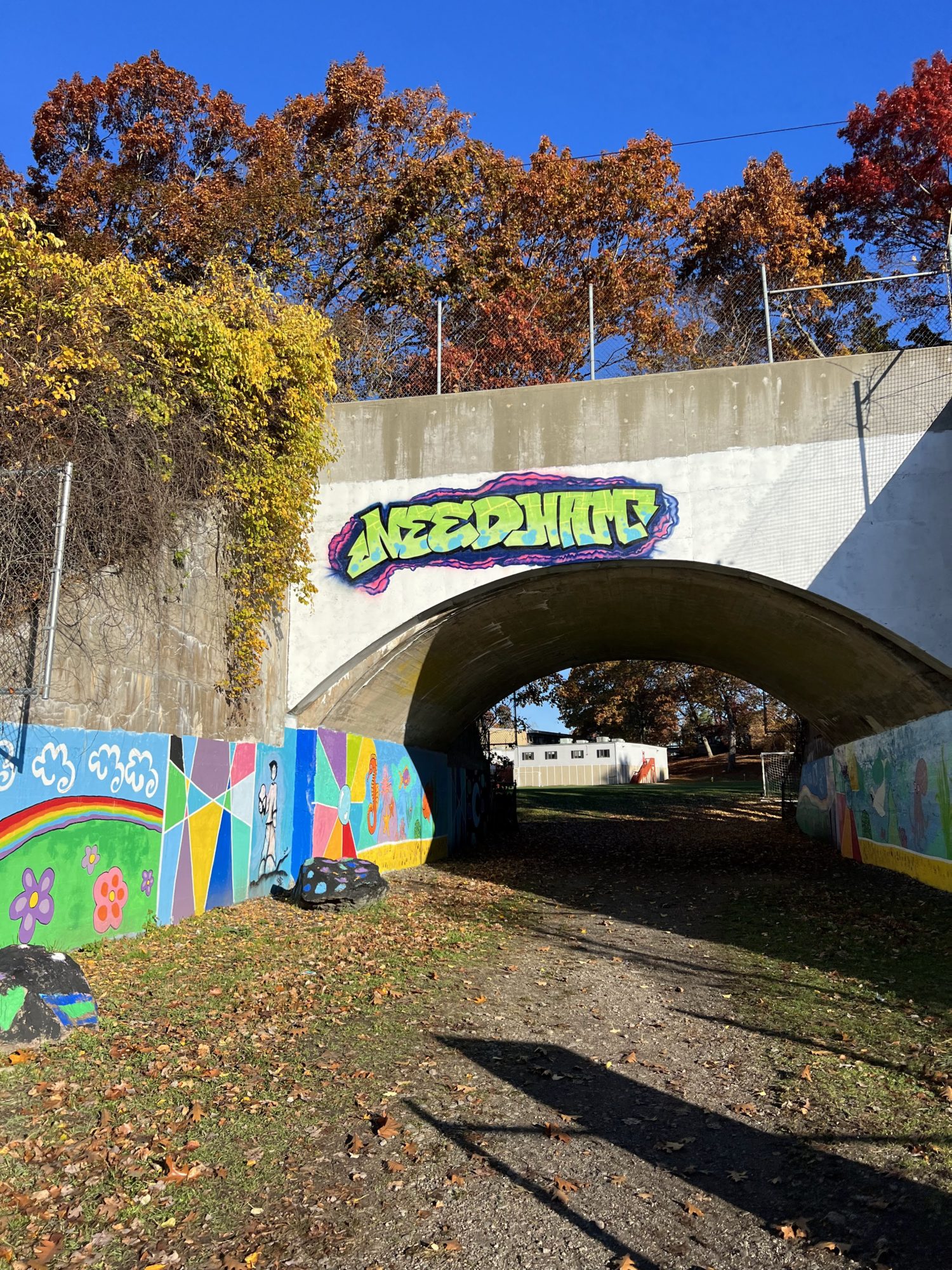 Needham Arts & Culture Action Plan – MAPC